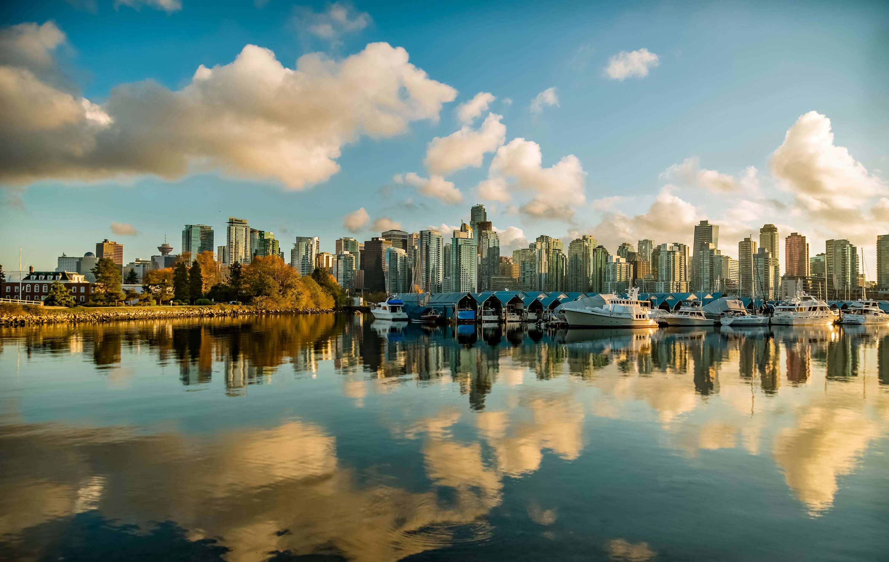 Fractional COO Vancouver | Goodwing Solutions